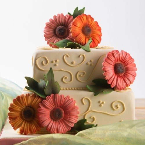 Recipe for Airbrush cake